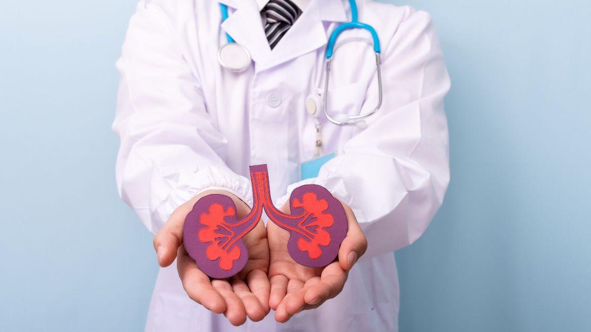 Mengenal Kista Ginjal, Penyebab, dan Cara Mengobatinya - Primaya Hospital